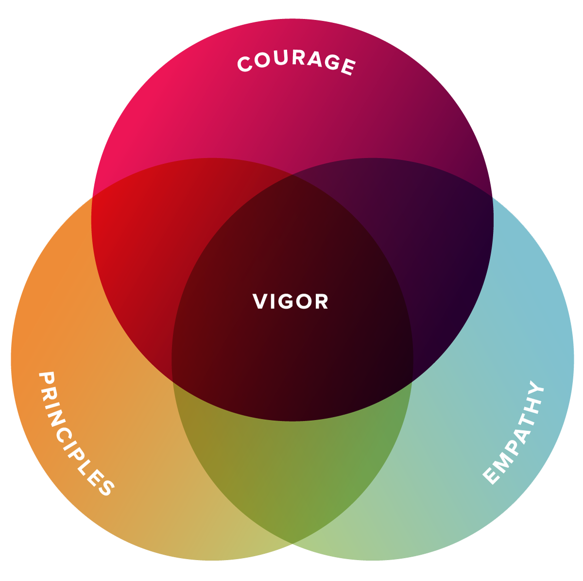 Where courage, empathy, and principles thrive - Vigor